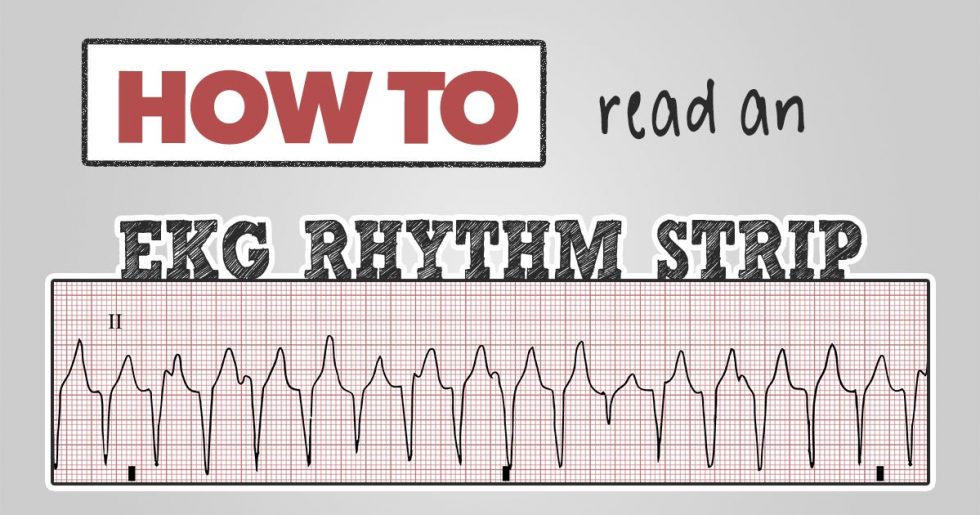 How to Read an EKG Rhythm Strip | Health And Willness