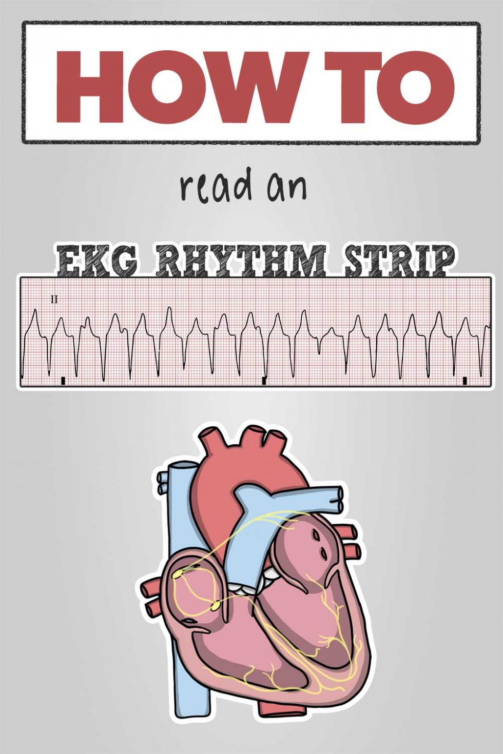 How to Read an EKG Rhythm Strip | Health And Willness